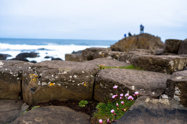 Giant’s Causeway and Fingal’s Cave: Following the Footprints of Irish ...