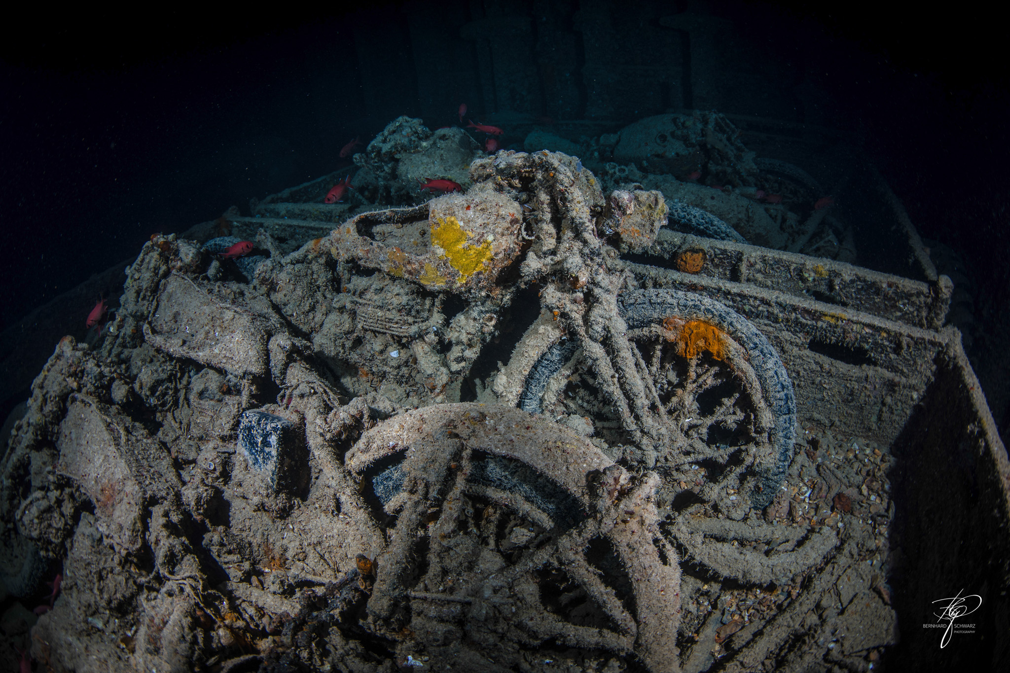 Exploring Egypt's Depths: The Complete Guide to Scuba Diving in Sharm ...