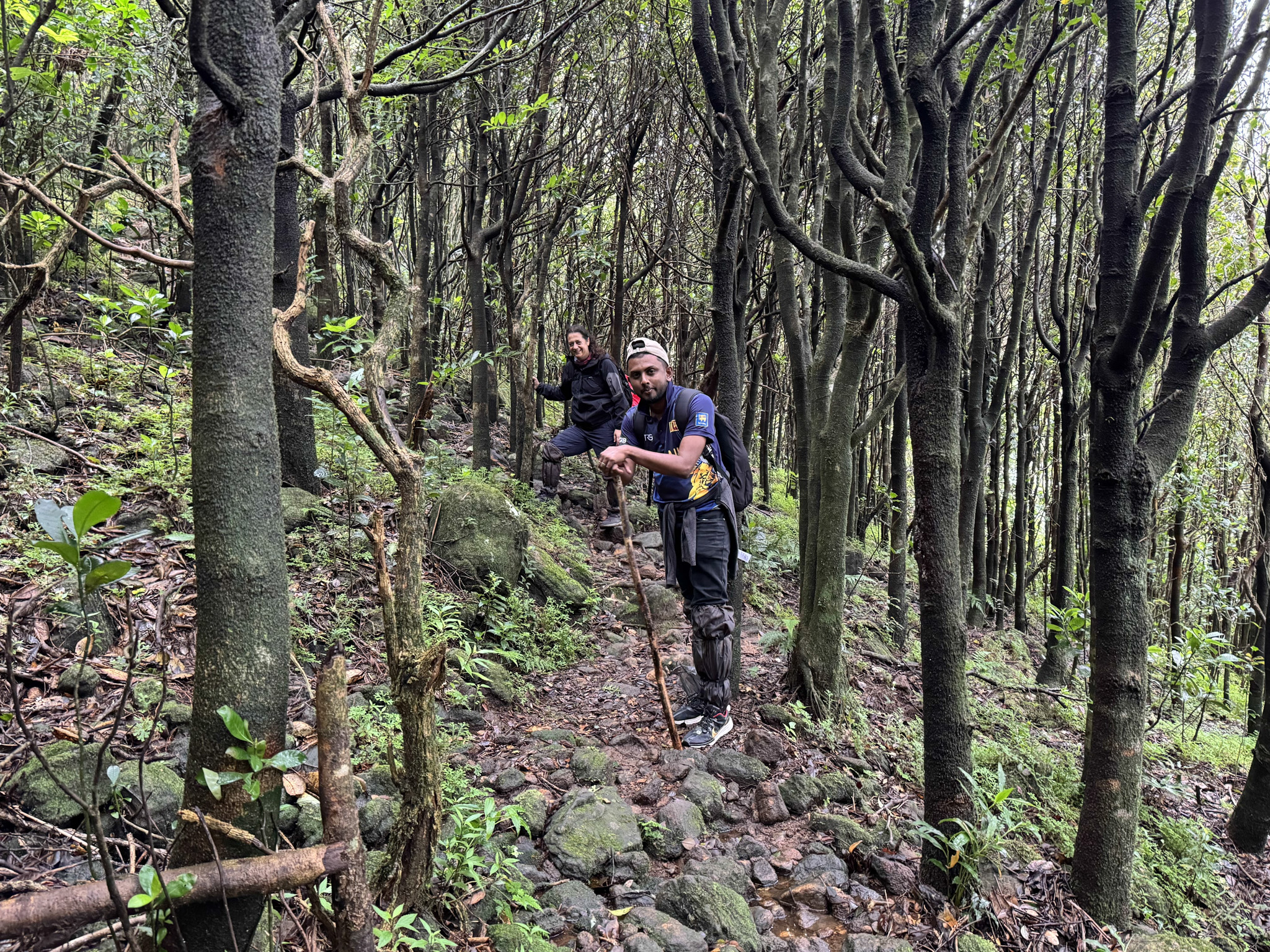 Highlights of Our Epic 2 Weeks in Sri Lanka Tour Itinerary (Kandy ...